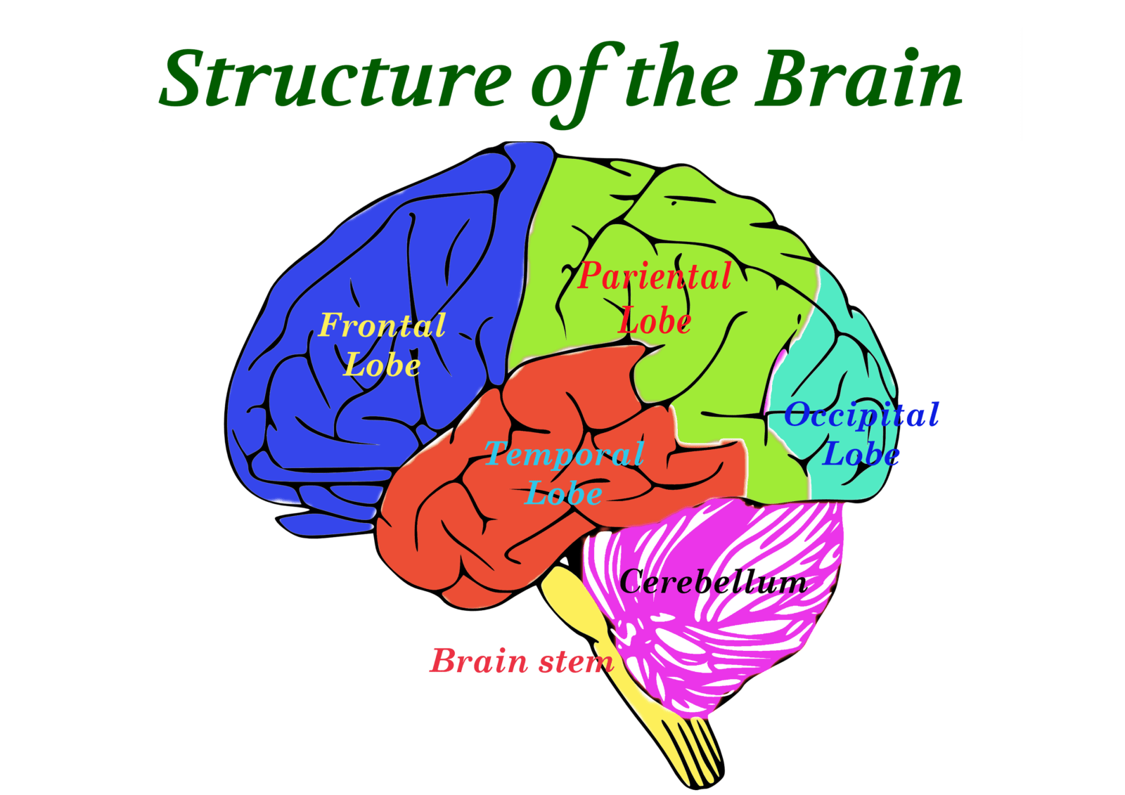 Dementia Awareness Module 2: Knowledge Check. - Training in partnership